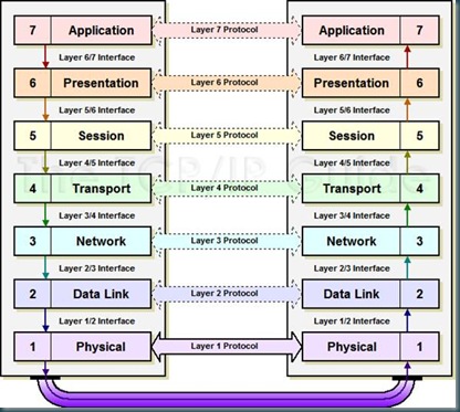 Spector Training: Functions & Components of LAN